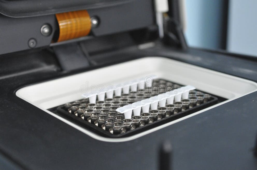 PCR real time stock photo. Image of tube, gens, strips - 33360364