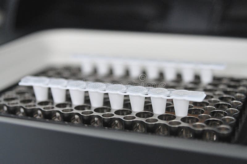 PCR real time stock photo. Image of genetic, strip, amplificator - 33360454