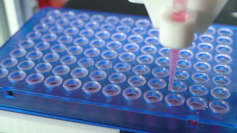 PCR Robot for Genetic Analysis of Biological Samples in Modern Medical ...