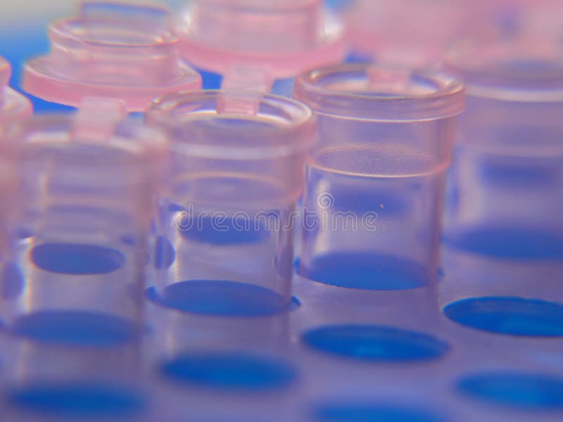 Micro Test Tubes; Boy or Girl? Stock Photo - Image of pink, development ...