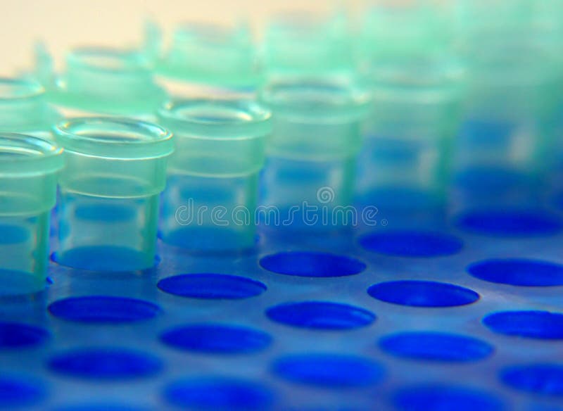 PCR tubes stock photo. Image of researh, tube, doctor - 1637792