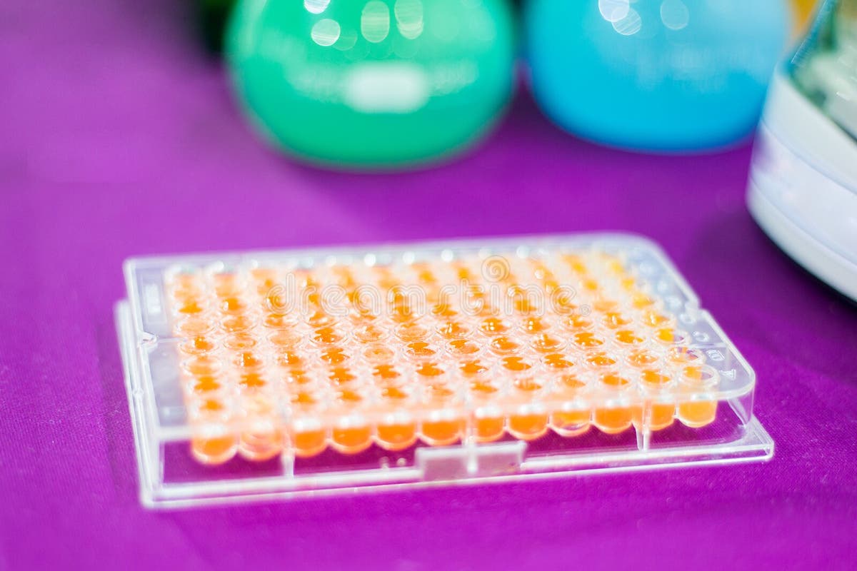 183 96 Well Plate Multichannel Pipette Stock Photos - Free & Royalty ...