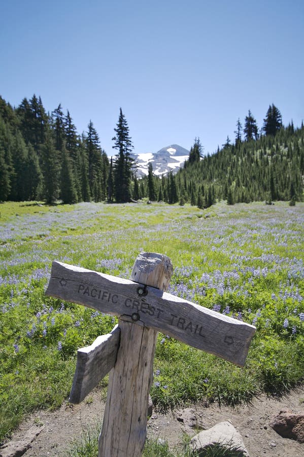 PCT Sign stock image. Image of cascades, outdoors, wilderness - 5356263
