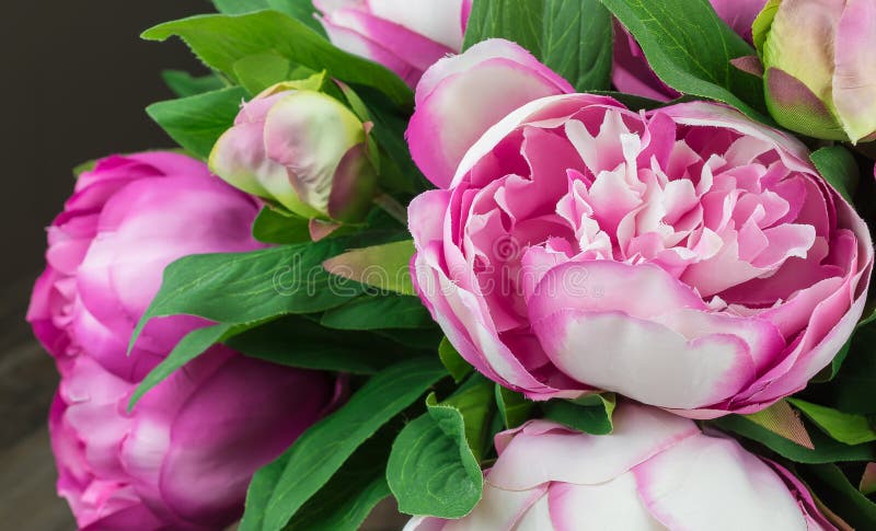 Peônia Cor-de-rosa Rose Flowers Bouquet No Vaso Foto de Stock - Imagem ...