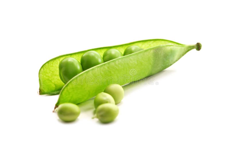 Open Pea Pod and Single Pea Stock Photo - Image of husk, food: 15018226