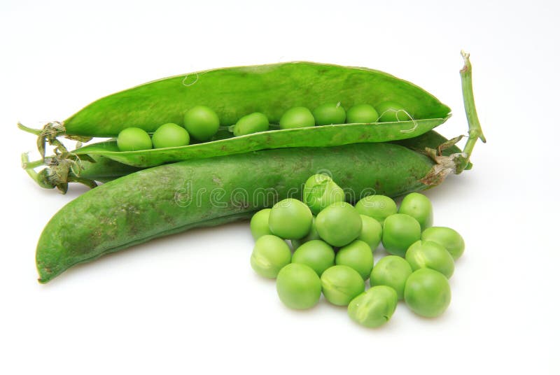 Pea plant stock photo. Image of food, tasty, veggy, commercial - 26759510