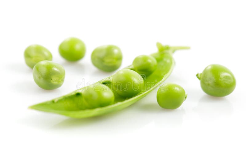 Pea Pod stock image. Image of sugar, snap, legume, healthy - 5556351