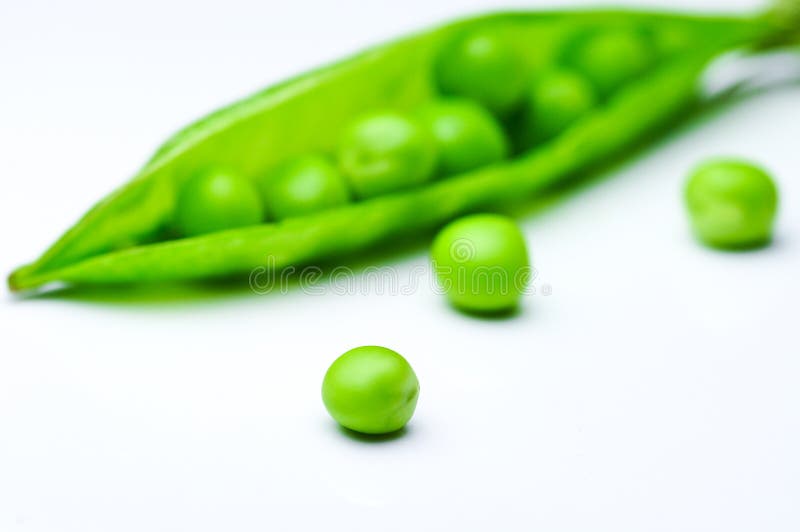 Pea stock photo. Image of plant, dieting, pattern, isolated - 22805634
