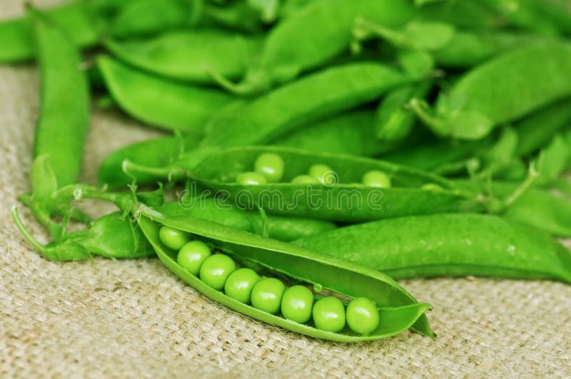 Pea stock image. Image of vegetable, closeup, single - 25786535