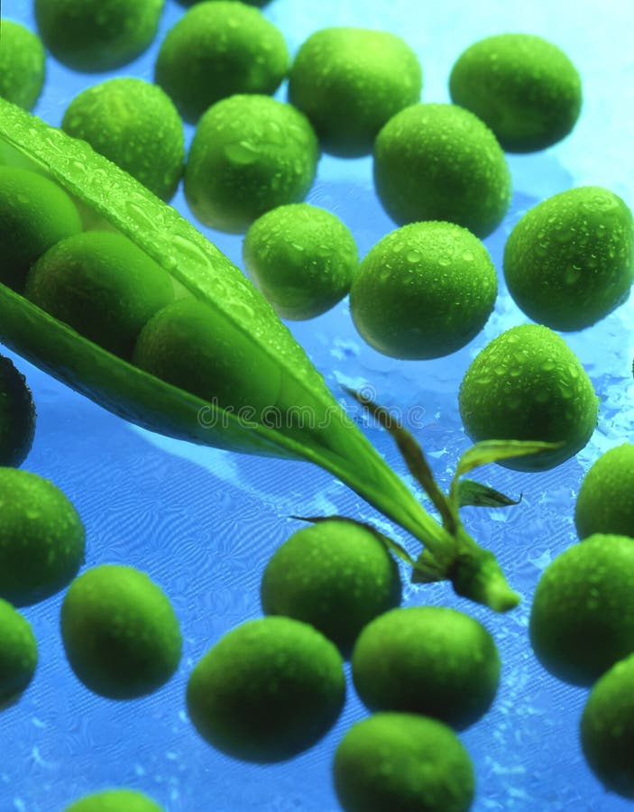 Shepherd stock image. Image of cycle, ecology, farm, hill - 3311621