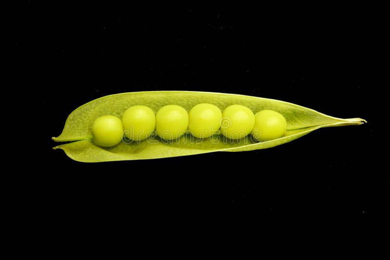 Pea stock photo. Image of eating, organic, food, vegetarian - 7390948