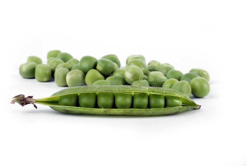 Pea plant stock photo. Image of food, tasty, veggy, commercial - 26759510