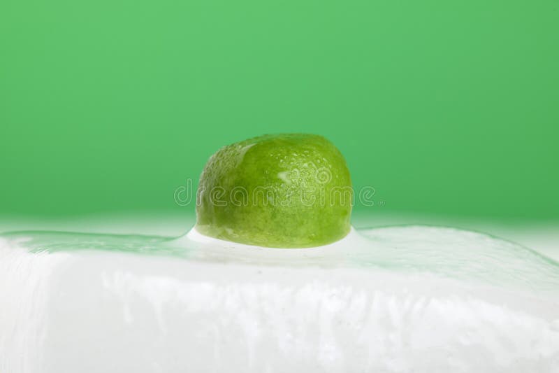 Pea on green ice stock photo. Image of place, hungry, setting - 669856