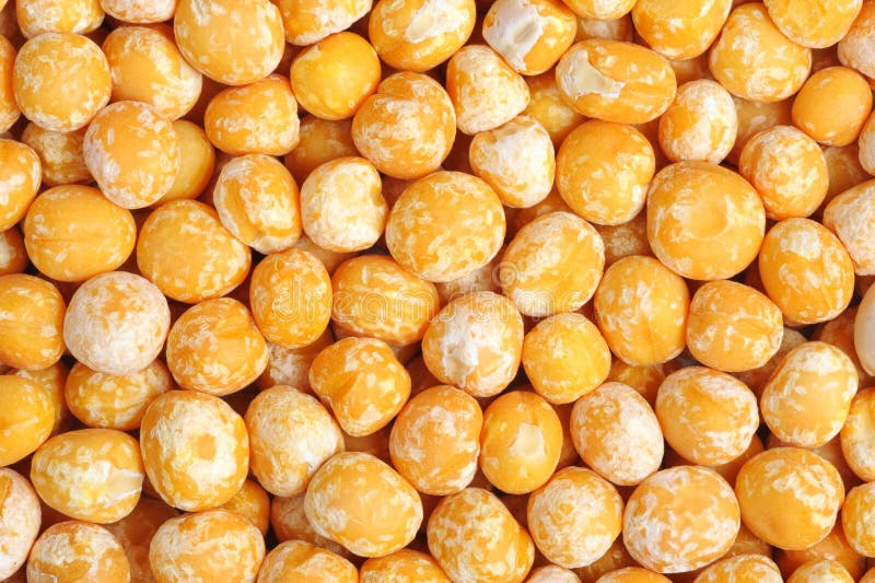 Pea, isolated stock photo. Image of crop, closeup, eating - 28952296