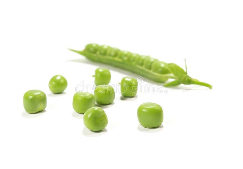 Pea isolated stock image. Image of healthy, pattern, food - 5956439