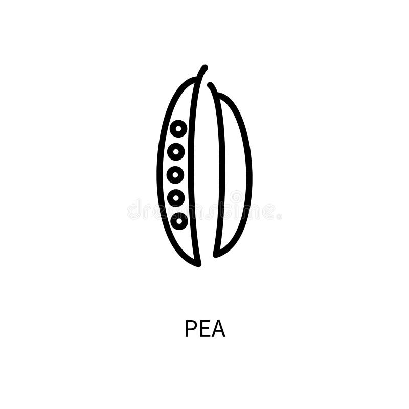 Pea Line Icon in a Simple Style. Vector Sign in a Simple Style Isolated ...