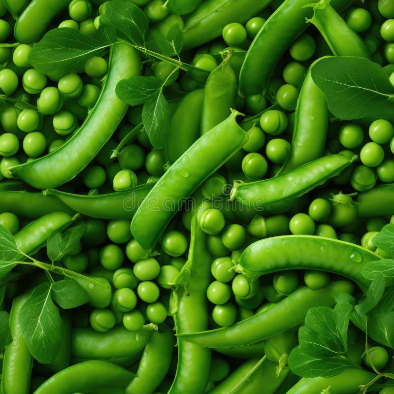 Pea Pattern Ultra Realistic Stock Illustration - Illustration of decor ...