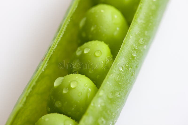 Pea pod stock photo. Image of detail, healthy, green - 10669076