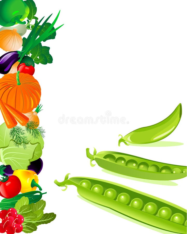 Life Cycle of Pea Plant with Root System. Stages of Pea Growth from ...