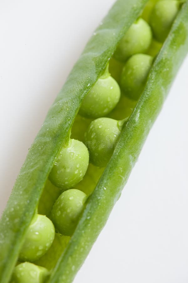 Pea pod stock photo. Image of inside, details, drops - 151090670