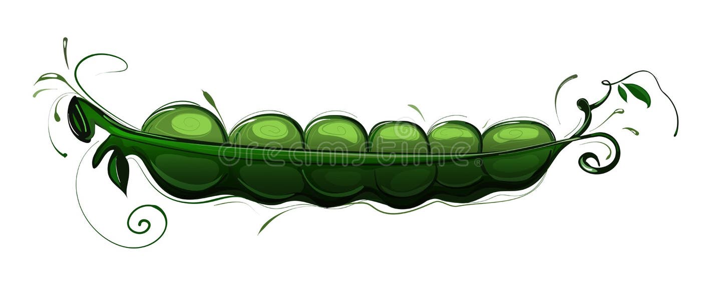 Pea Seeds Pod Stock Illustrations – 421 Pea Seeds Pod Stock ...