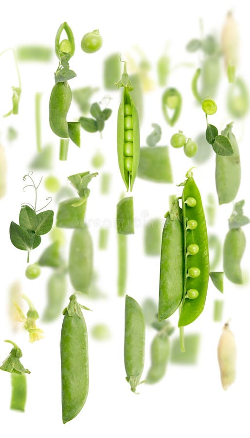Pea and Pod Slice and Leaf Collection Stock Image - Image of collection ...
