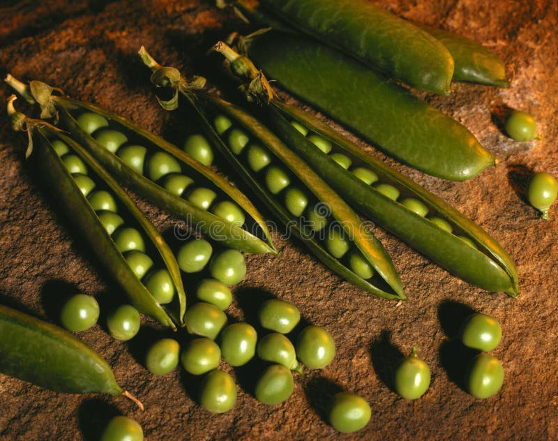 Pea pods stock photo. Image of green, vegetable, food - 40520752