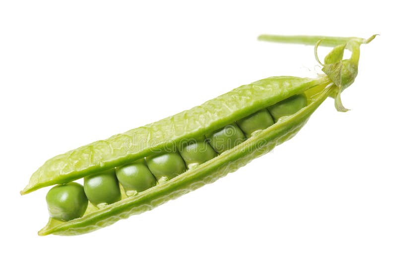 Pea pods stock photo. Image of fresh, market, healthy - 123345662