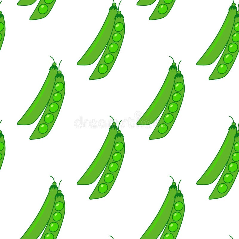 Pea Plant Growth Stages Infographic Elements In Flat Design. Planting ...