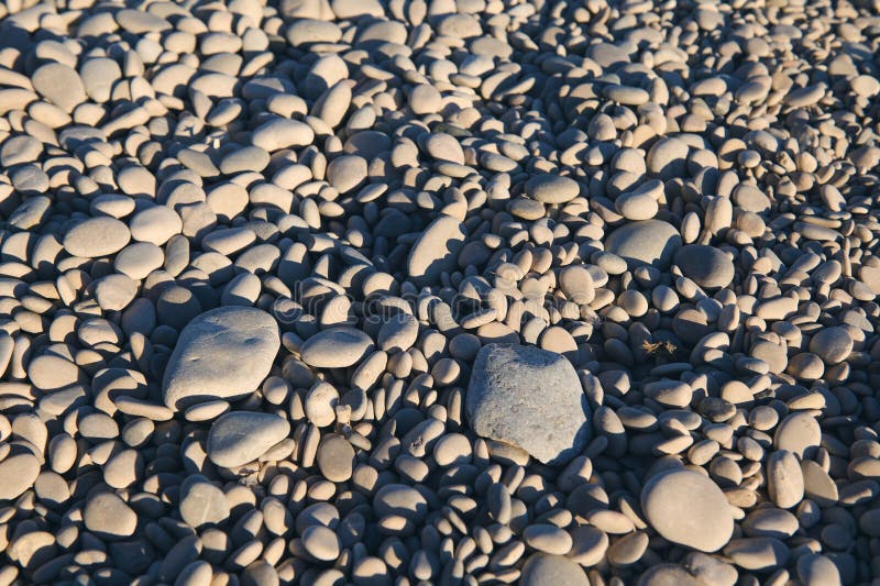 Pea-Sized Pebbles on a Sunlit Beach with Natural Light and Texture ...