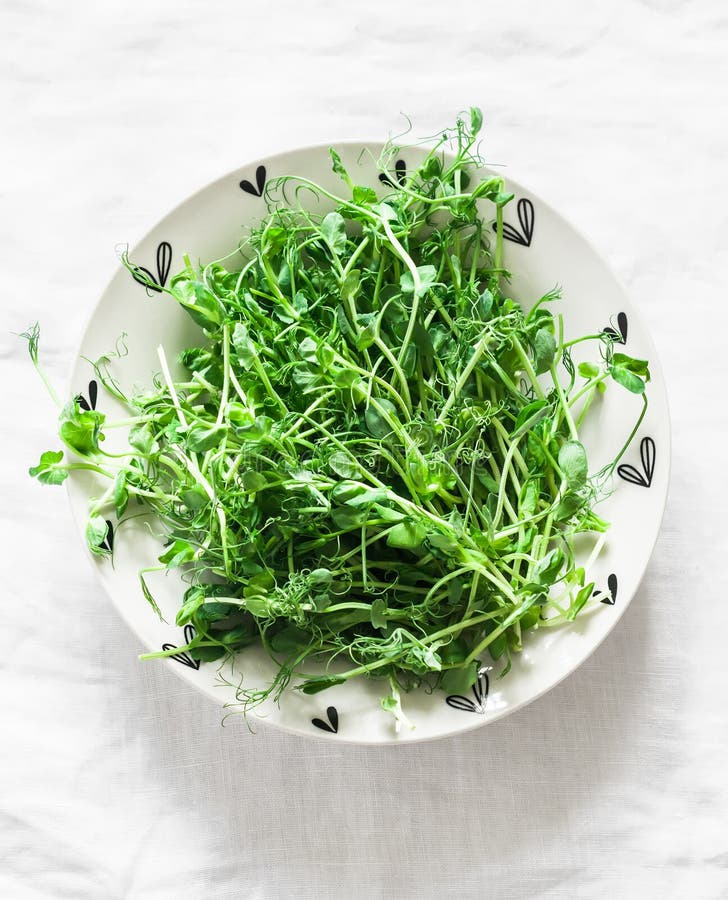 Pea Sprouts in a Bowl on a Light Background, Top View Stock Image ...