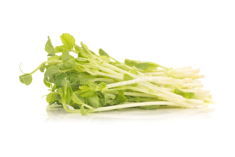 Pea Sprouts on White Background Stock Photo - Image of ingredient, life ...
