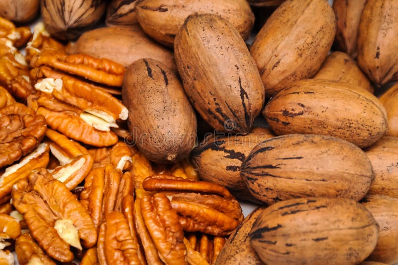 Peacan stock image. Image of baking, nutshell, dieting - 84571569