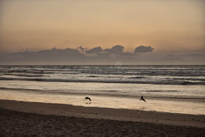 The Peace of the Beach. Shot of an Empty Beach. Stock Image - Image of ...