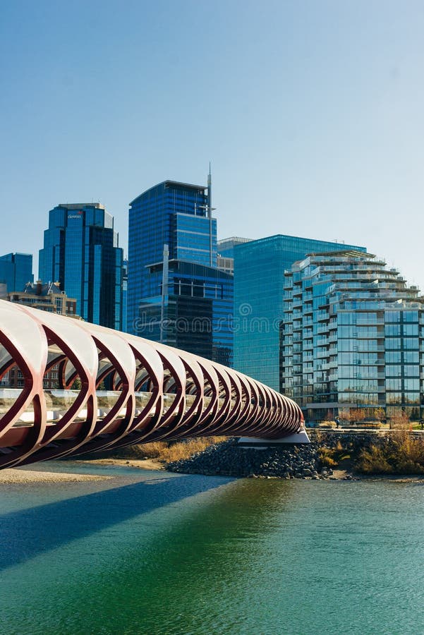 Peace Bridge with Bow River and Part of the Calgary Downtown in a Sunny ...