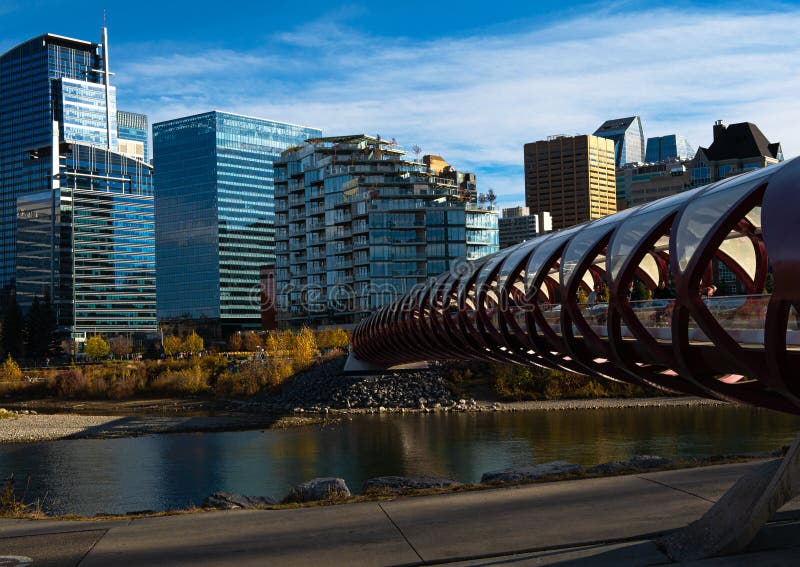 Peace Bridge Over the Bow River and Linking To the Downtown Core of ...