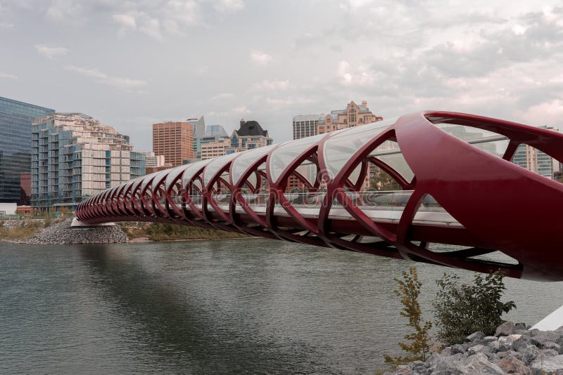Peace Bridge editorial photo. Image of cycling, modern - 177835381