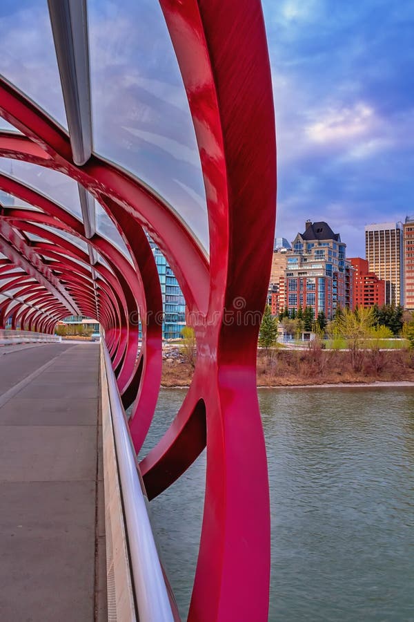 Peace Bridge Pathway Over the Bow River Editorial Photo - Image of ...
