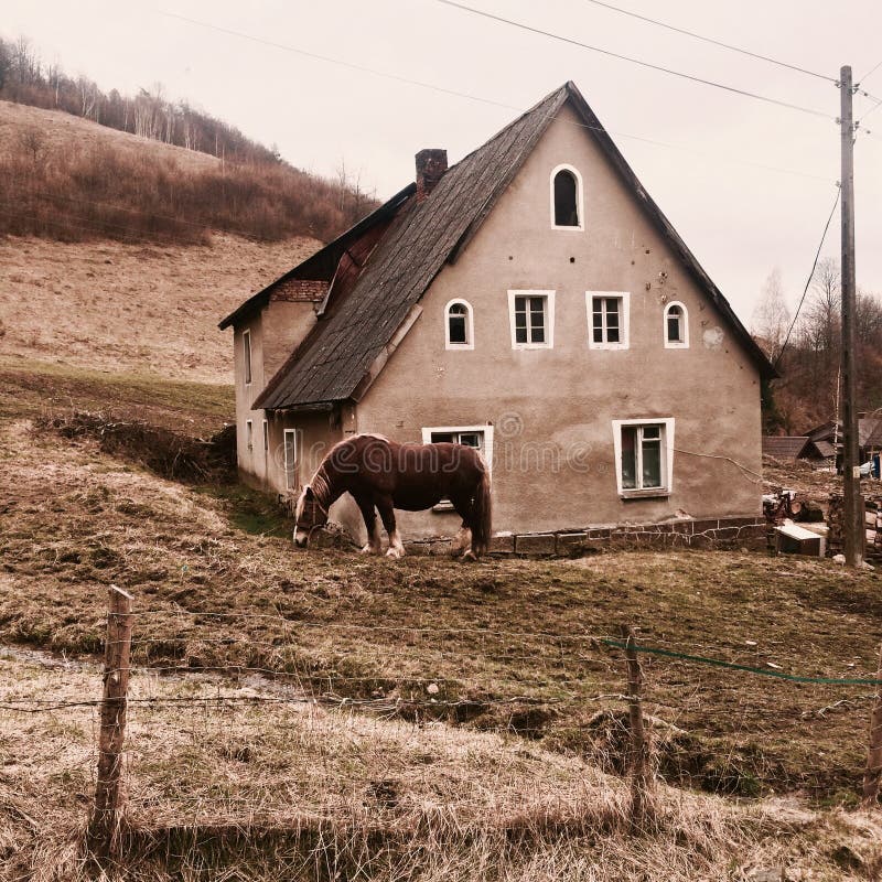 An easy day stock photo. Image of landscape, easy, nature - 112677558