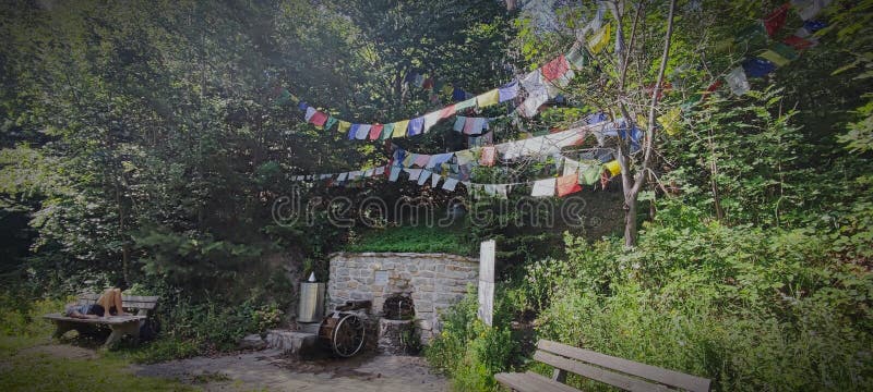 Peace flag trail stock image. Image of tree, estate - 261448809