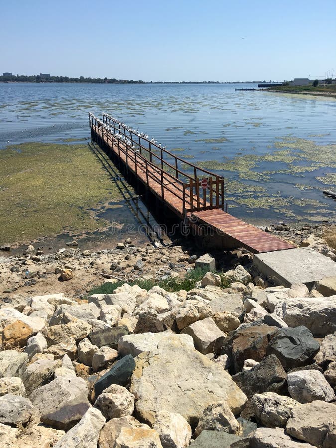 Peace on the Lake of Techirghiol Stock Image - Image of roca, holidays ...