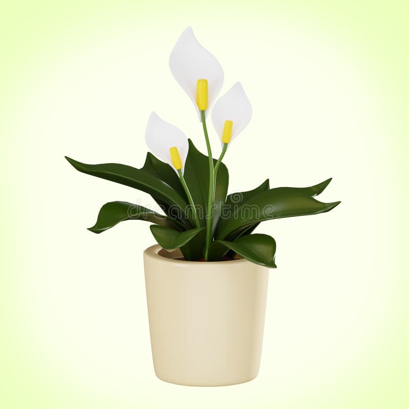 Serene Beauty of Peace Lily Pot for Home Decor and Interior Design. 3D ...