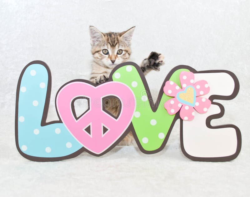 993 Baby Peace Sign Stock Photos - Free & Royalty-Free Stock Photos ...