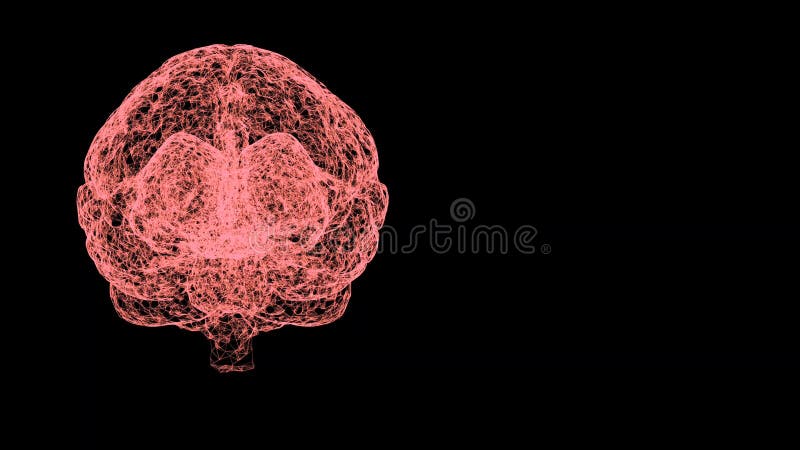 Peace of Mind Concept. Brain Formed of Abstract Interwoven Web Rotates ...