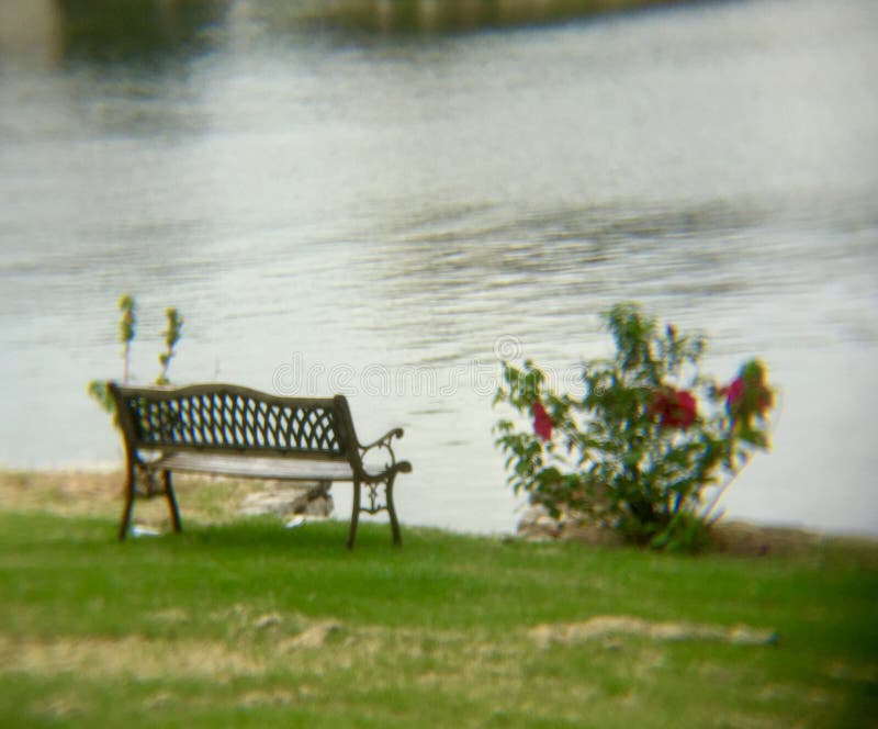 Peace stock photo. Image of view, nice, lake, side, peace - 98591942