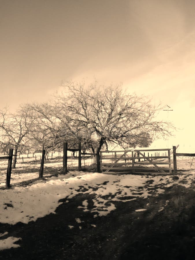 Peace stock image. Image of drive, think, snow, peace - 144492353