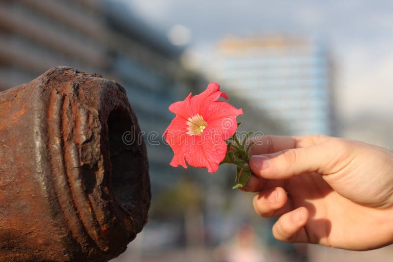 Peace, please stock image. Image of offering, truce, flower - 7676263