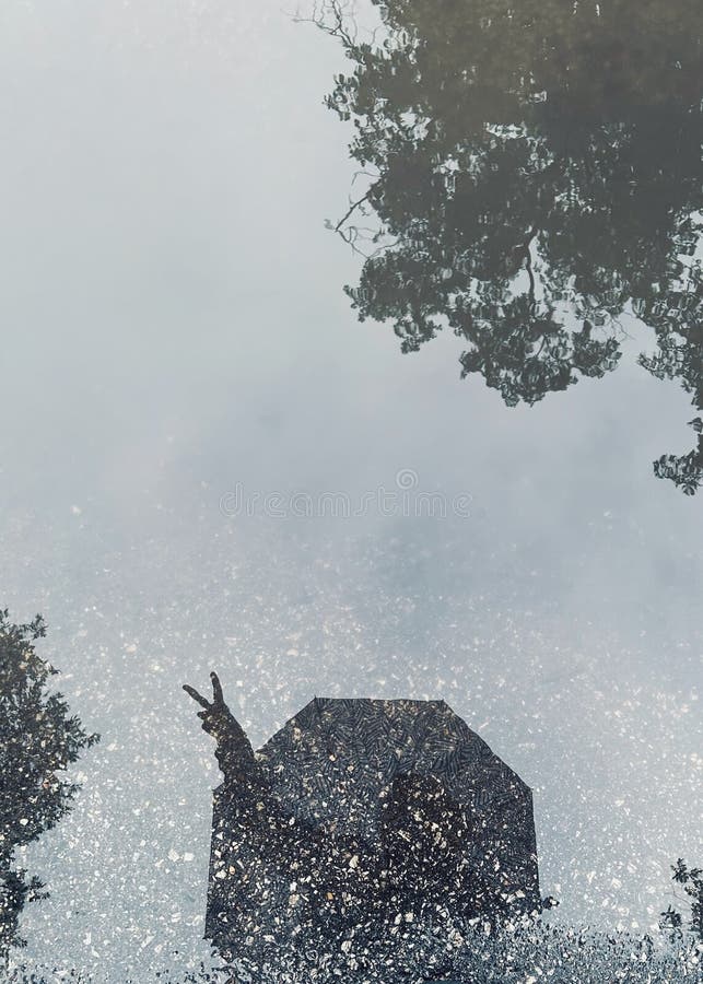 A Puddle Reflection of a Person Holding an Umbrella and Making a Peace ...