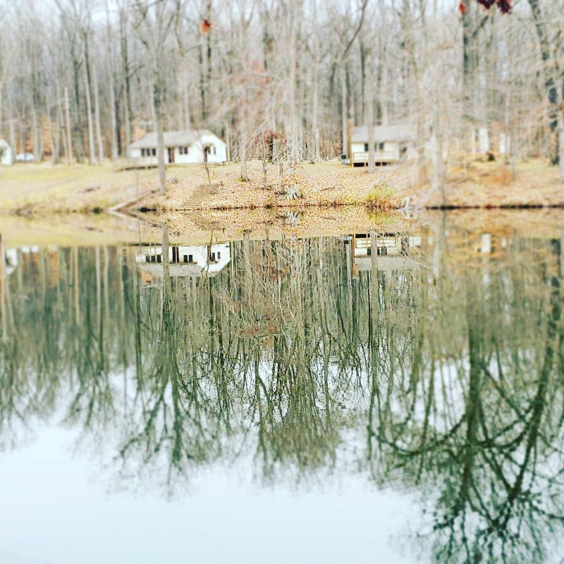 Peace by the River Lake View Picture Editorial Image - Image of lake ...