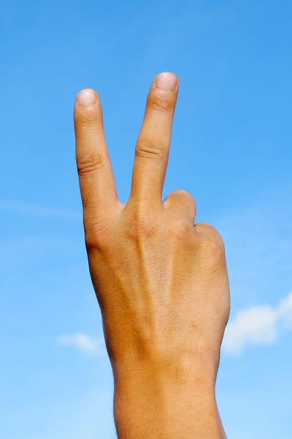 Peace sign stock photo. Image of palm, sign, champion - 14646904